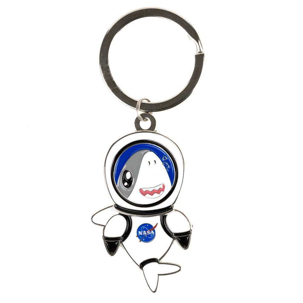 Nasa Keychains
